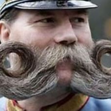 Movember - Team