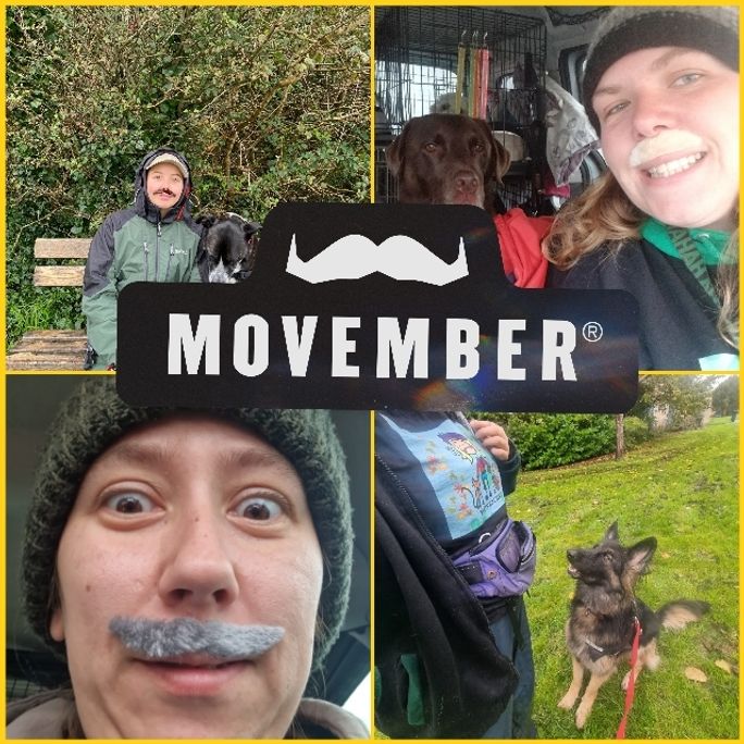 Movember - Team